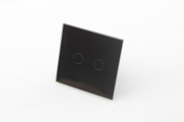 Wall Light Two-Channel Capacitive Switch(EU Standard)