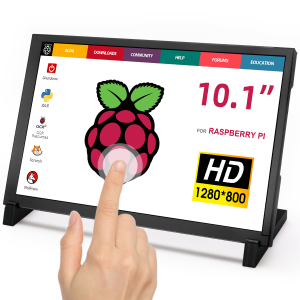 10.1 Inch - LCD - Display