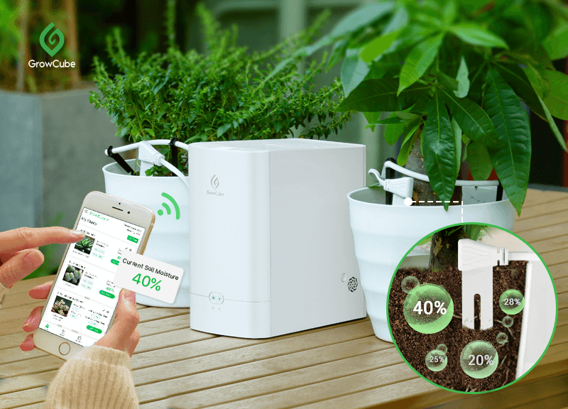 GrowCube: A Super Smart Watering Kit Will Be On Kickstarter